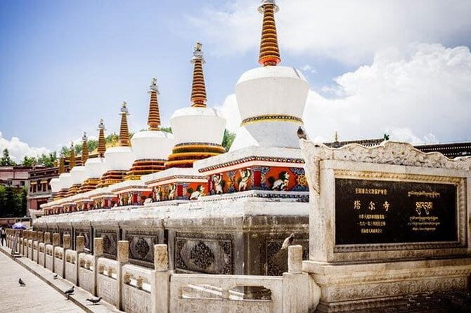 2-Day Qinghai Lake and Ta'er Monastery Private Trip from Xian by Bullet Train - An Authentic 2-Day Journey: Qinghai Lake and Taer Monastery