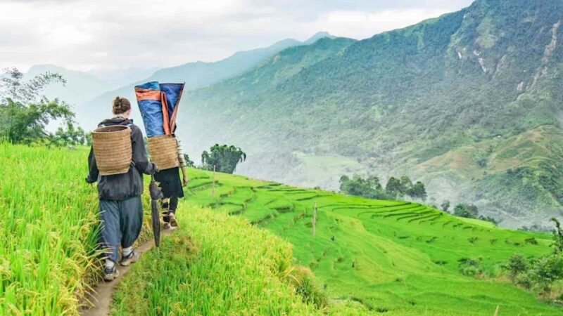 2-Day Sapa Adventure with long treks - overnight in hotel - The Real Value for Travelers