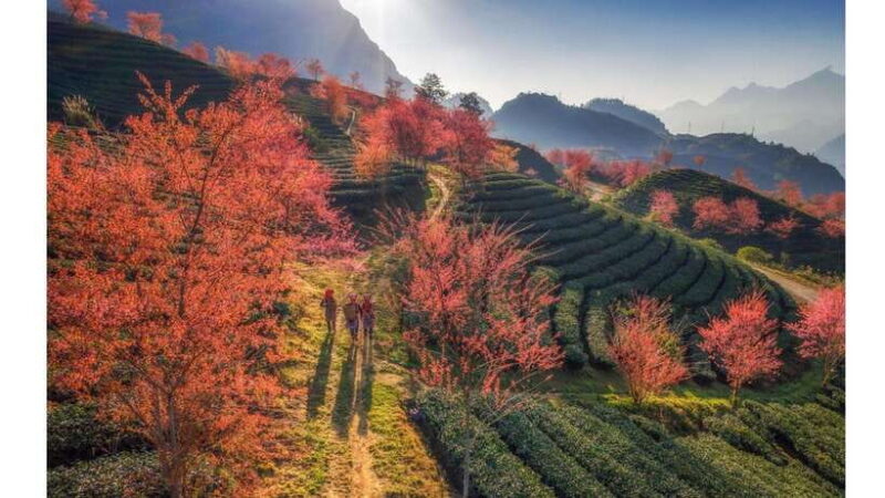 2-Day Sapa Tour from Hanoi with Homestay and Meals Included - Final Thoughts: Who Will Love This Tour?