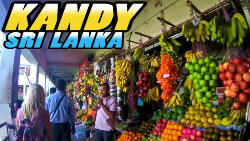 2-Day Scenic Tour from Kandy to Ramboda & Nuwara Eliya - Cost and Value: What’s the Bottom Line?