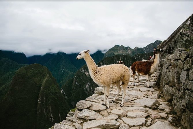2-Day Short Inca Trail to Machu Picchu - Traveler Information