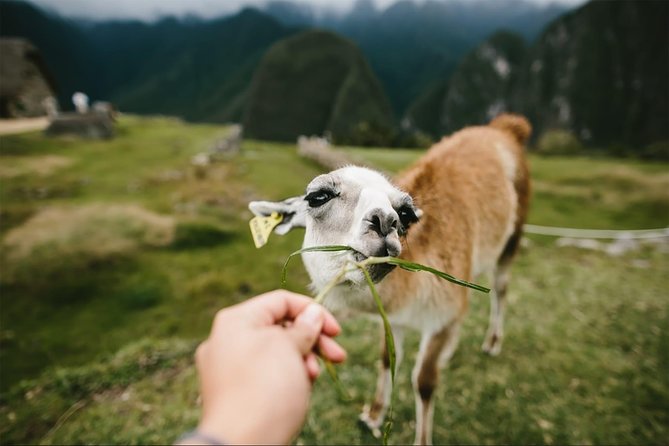 2-Day Short Inca Trail to Machu Picchu - Reviews and Ratings