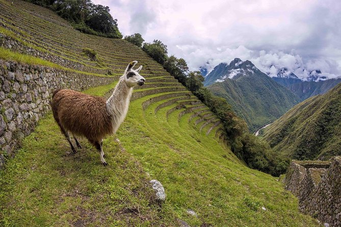 2-Day Short Inca Trail to Machu Picchu - Hiking the Inca Trail
