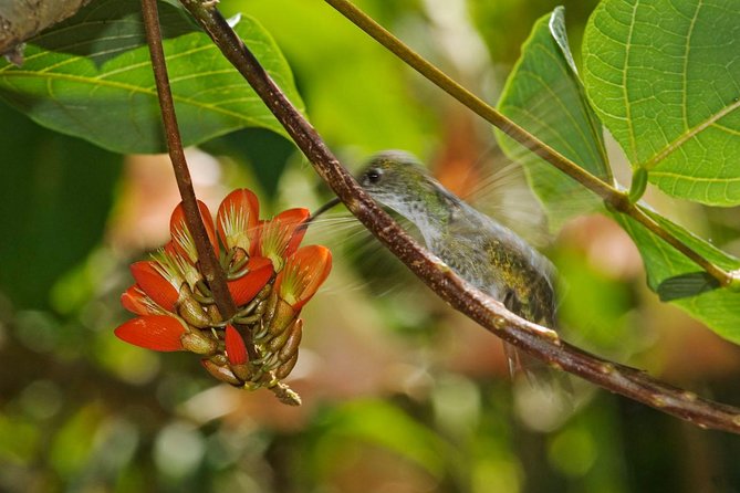 2 Day - Short Inca Trail to Machu Picchu - Group Service - Accommodation and Additional Options