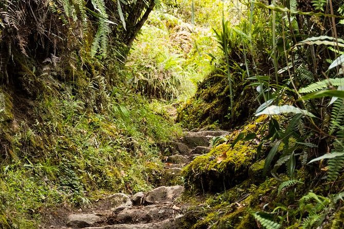 2 Day - Short Inca Trail to Machu Picchu - Group Service - Highlights and Noteworthy Experiences