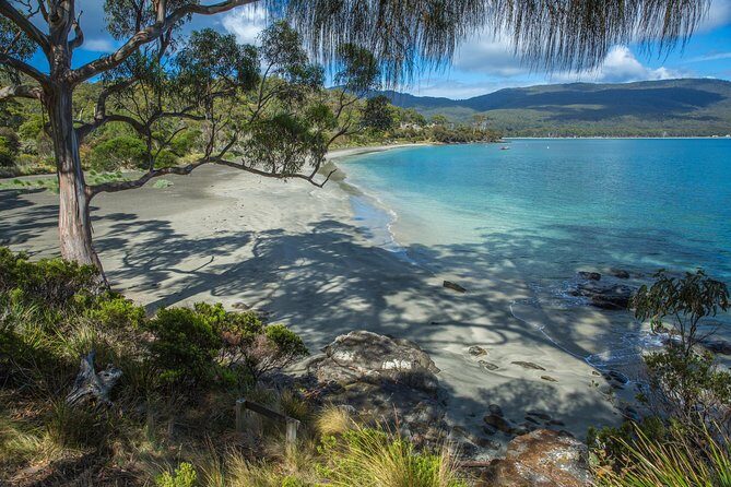 2 Day Tasmanian Highlights Tour - Bruny Island & Port Arthur - Final Thoughts