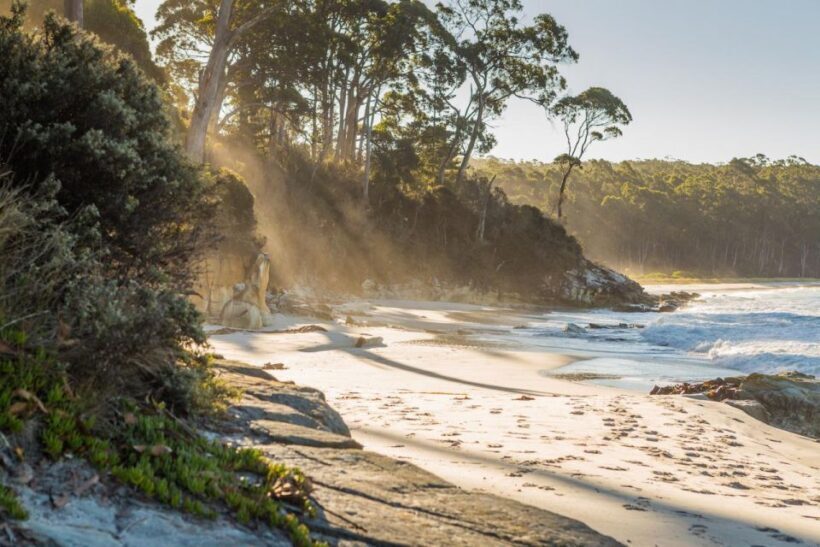 2 Day Tasmanian Highlights Tour - Bruny Island & Port Arthur - An Honest Look at the 2-Day Tasmanian Highlights Tour