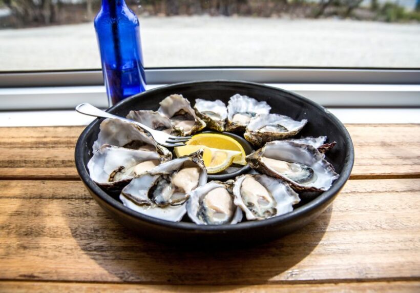 2 Day Tasmanian Highlights Tour - Bruny Island & Port Arthur - Who is This Tour Best For?