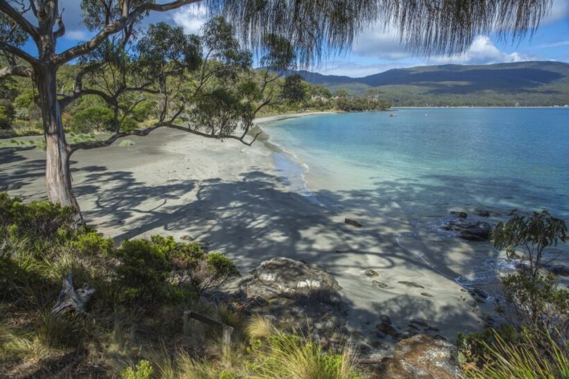 2 Day Tasmanian Highlights Tour - Bruny Island & Port Arthur - FAQ