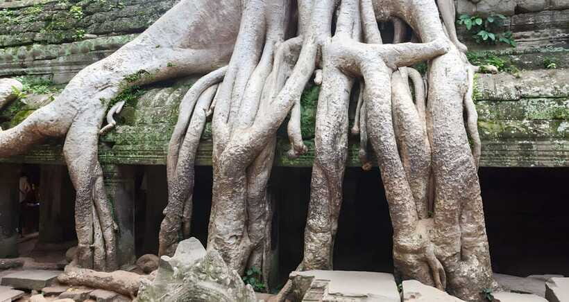 2-Day Temple private Tours, Lunch included - Who Should Consider This Tour?
