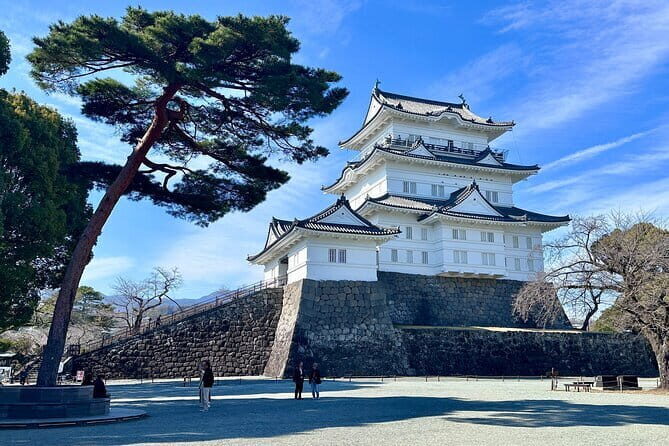 2 Day Tokyo Mt. Fuji Hakone Odawara castle Kamakura, Onsen Ryokan - The Itinerary — What to Expect