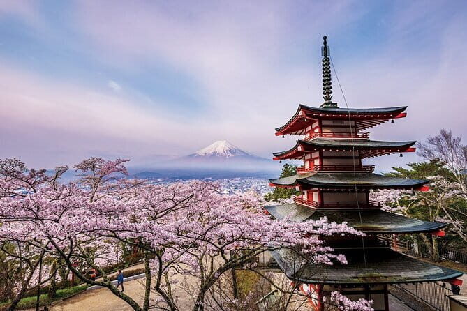 2 Day Tokyo Mt. Fuji Hakone Odawara castle Kamakura, Onsen Ryokan - Who This Tour Is Best For
