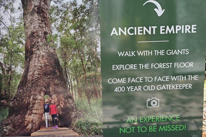 2 Day Tour Busselton Jetty, Ngilgi Cave to Valley of the Giants - Key Points