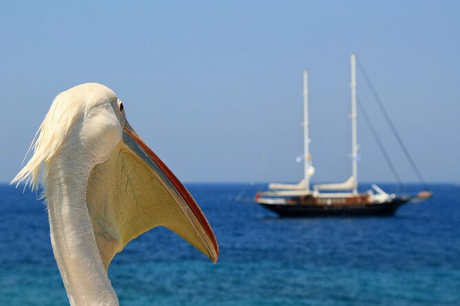 2-day Tour from Athens to Santorini and Mykonos - Exploring the Islands: What You Can Expect