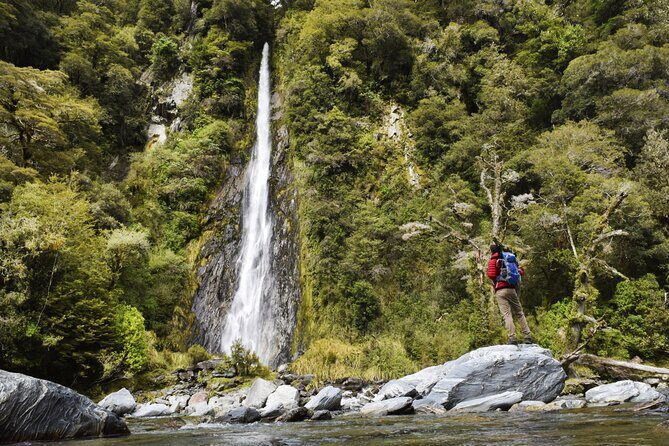 2 Day Tour From Christchurch to Queenstown via Franz Josef - The Itinerary in Detail