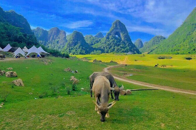 2 Day Tour in Ban Gioc Waterfalls from Hanoi - Final Thoughts: Who Should Consider This Tour?