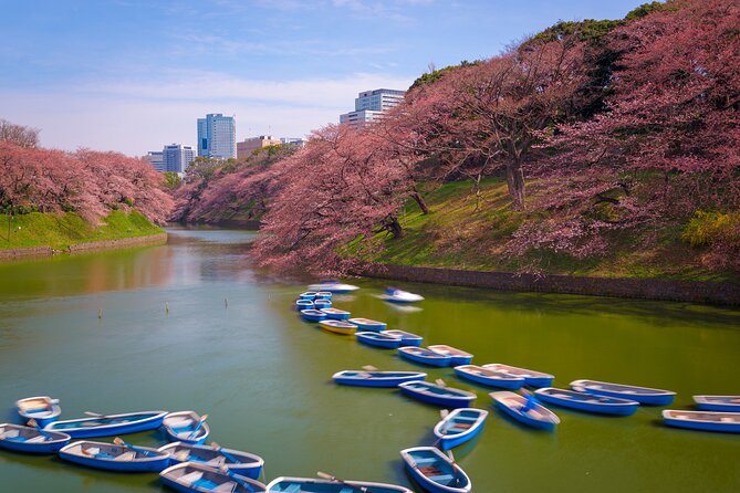 2-Day Tour: Mt Fuji and Tokyo Private Wagon & English Driver - Pickup and Flexibility