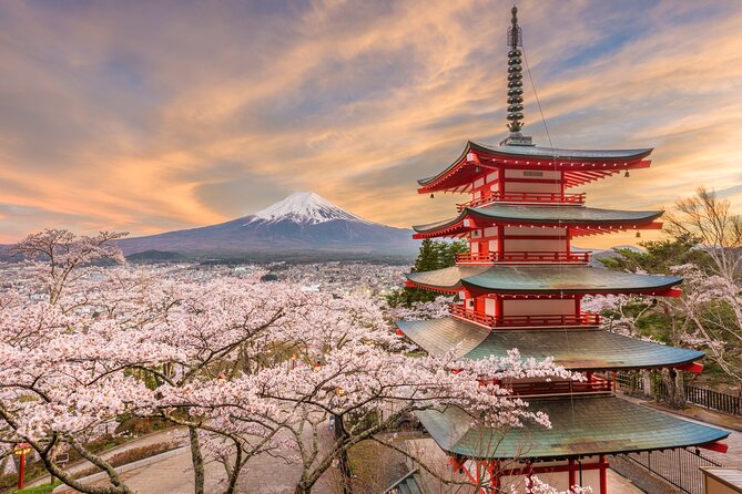 2-Day Tour: Mt Fuji and Tokyo Private Wagon & English Driver - Driver and Tour Experience