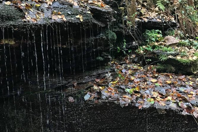 2-Day Tour of King Arthurs Cornwall in Tintagel, Boscastle and Dartmoor From Glastonbury - Discovering the Mysteries of Tintagel