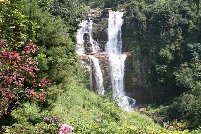 2 Day Tour of Yala & Ella with Hill Country Scenic Train Ride - All Inclusive - Who Will Love This Tour?