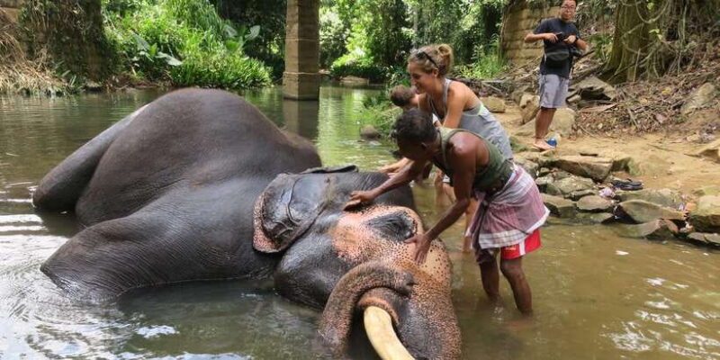 2 Day Tour Pinnawala/Sigiriya From Kandy - Final Thoughts