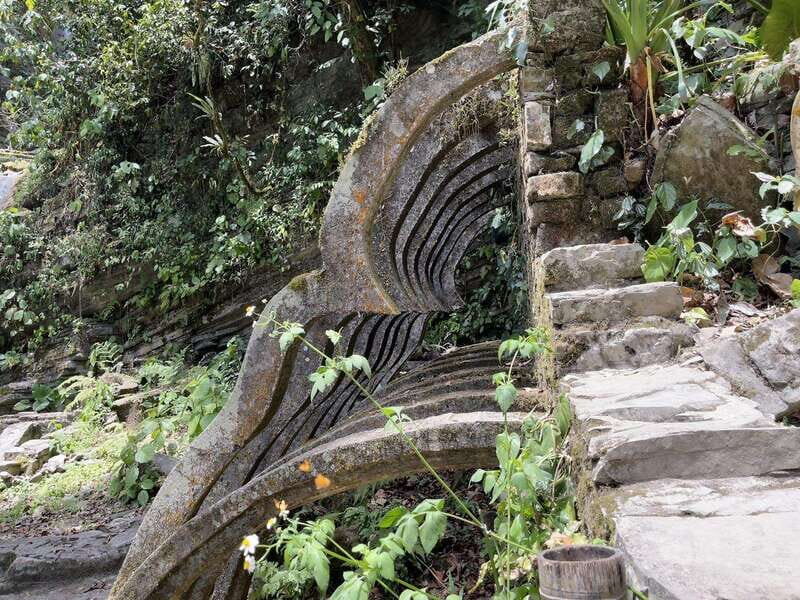 2 day tour Puente de Dios and Xilitla from San Luis Potosí - The Experience: What You Can Expect