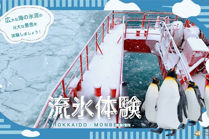 2 Day Tour to Icebreaker Mombetsu and Asahiyama Zoo in Hokkaido - Reviews and Feedback