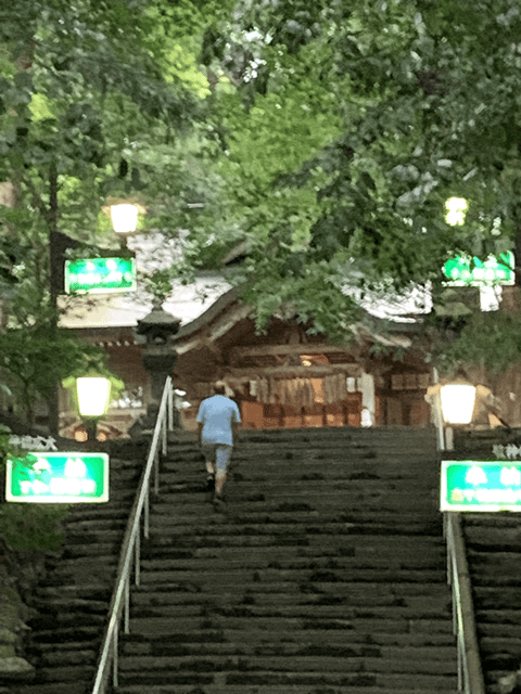 2 Day Tours: TAKACHIHO & BEPPU, YUFUIN, KOKONOE From Fukuoka - Inclusions and Additional Costs