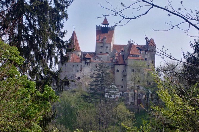 2-Day Transylvania Culture Trek from Brasov - Small Group Tour - Key Points