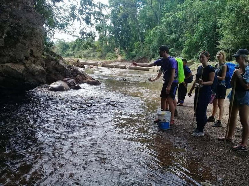 2-Day Trek to Ban Muang Pam: Real Thailand in Every Step - Key Points
