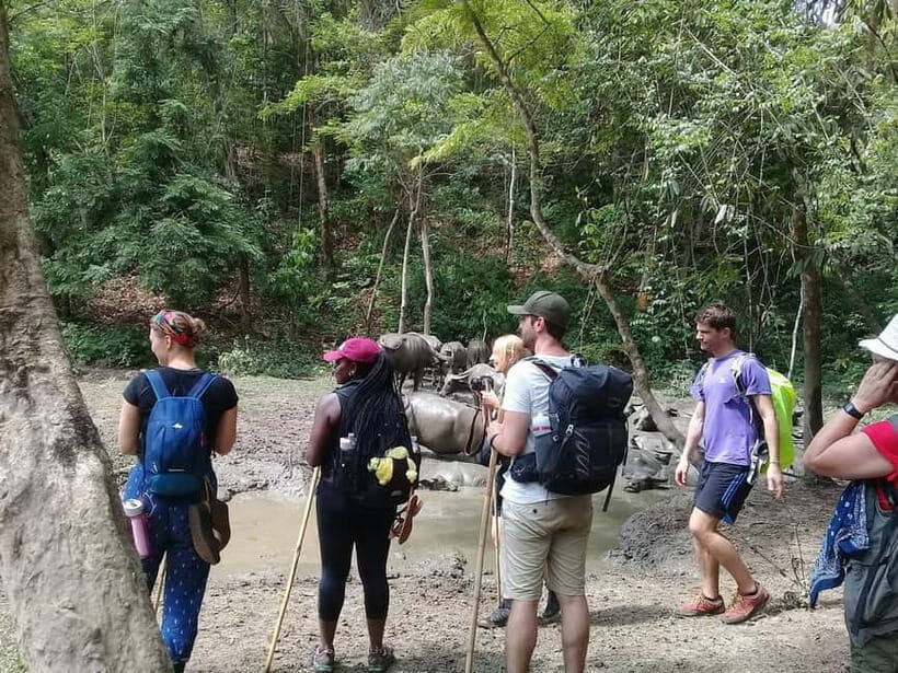 2-Day Trek to Ban Muang Pam: Real Thailand in Every Step - A Detailed Look at the Journey