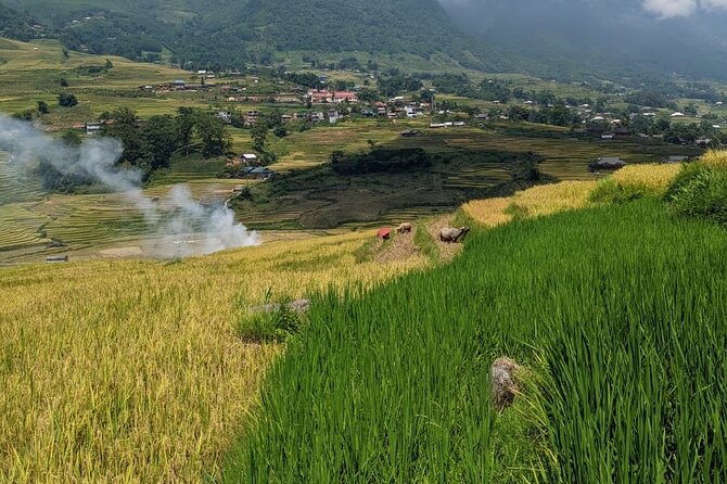 2 Day Trekking Experience: Explore with knowledgeable local guide - FAQ