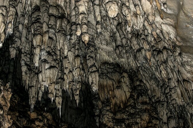 2 Day Trip in Western Serbia Tara and Uvac - What to Expect and What to Bring