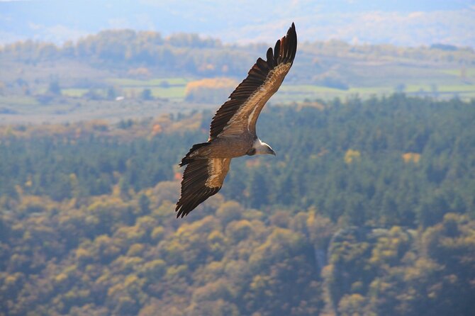 2 Day Trip in Western Serbia Tara and Uvac - FAQ