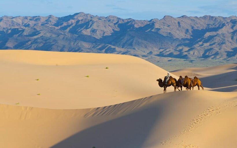 2 Day / Visit Khar kharom and Elsen tasarkhai sand dune - Discover Mongolia’s Past and Present: A 2-Day Tour to Khar Khorum and Elsen Tasarkhai