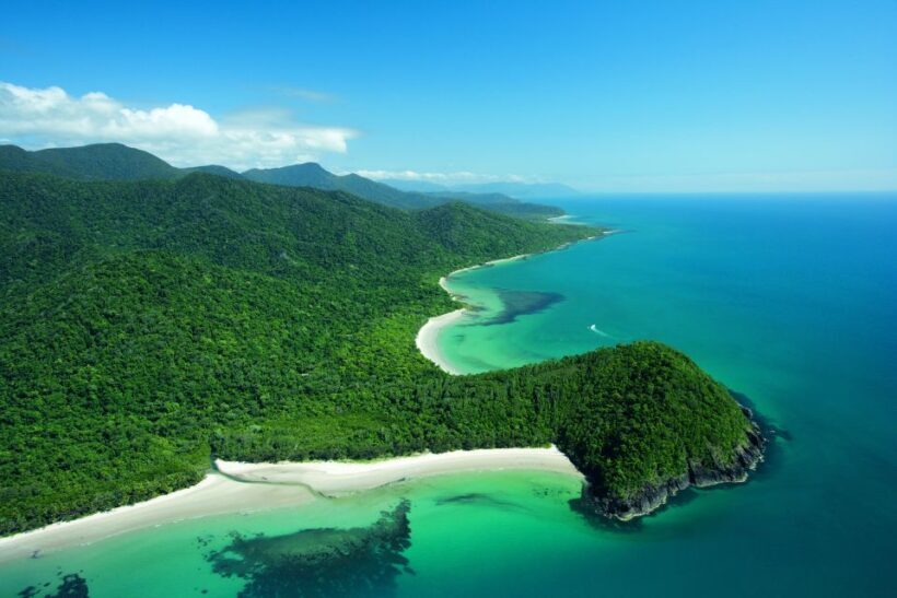 2-Day Waterfall and Daintree Tour - A Closer Look at the 2-Day Waterfall and Daintree Tour