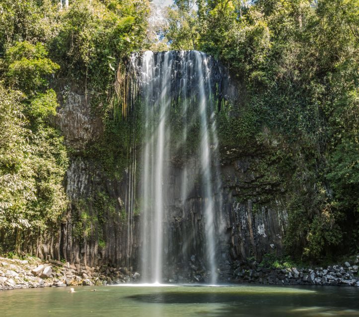 2-Day Waterfall and Daintree Tour - Summing It Up: Is This Tour for You?