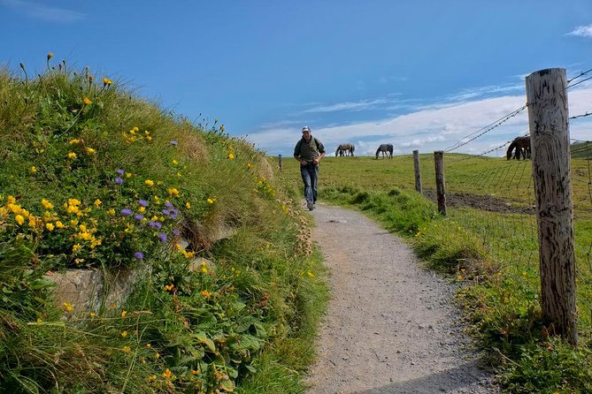 2-Day Wild Atlantic Way Tour From Dublin - Tour Experience and Guest Reviews