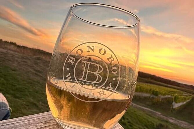 2 Day Wine Tour NON BUS Traverse City Wine Country 2 Peninsula - An In-Depth Look at the Tour Experience