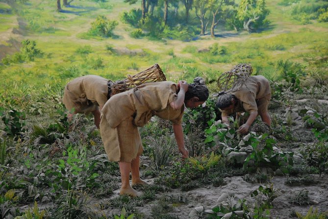 2-Day Xi'an Private Tour with Must-see Attractions and Unique Experiences - Frequently Asked Questions