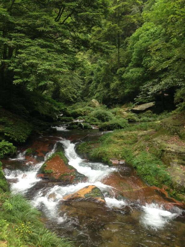 2-Day Zhangjiajie Tour Including Yuanjiajie Mountains - Who Will Love This Tour?