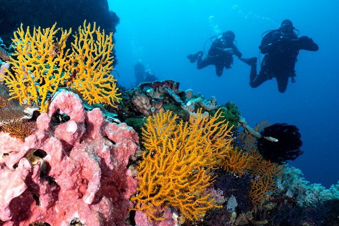 2 Days & 1 Night - 2 Dives in Lembongan/Penida (for certified divers) - Who Will Love This Tour?