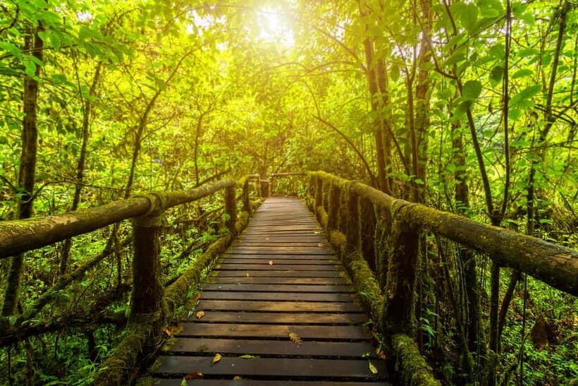2 days 1 night: Baan Pa Pong Piang and Doi Inthanon - FAQ