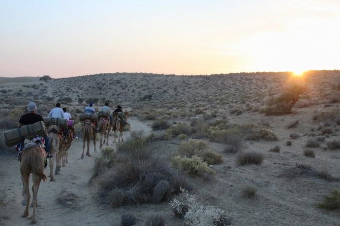 2 Days-1 Night Camel Tour - FAQ