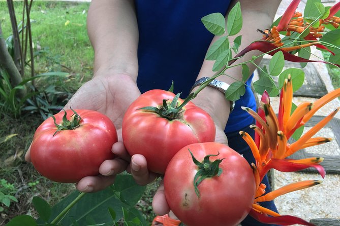 2 days 1 night: Countryside experiences. Exclusive house Homestay - The Sum Up