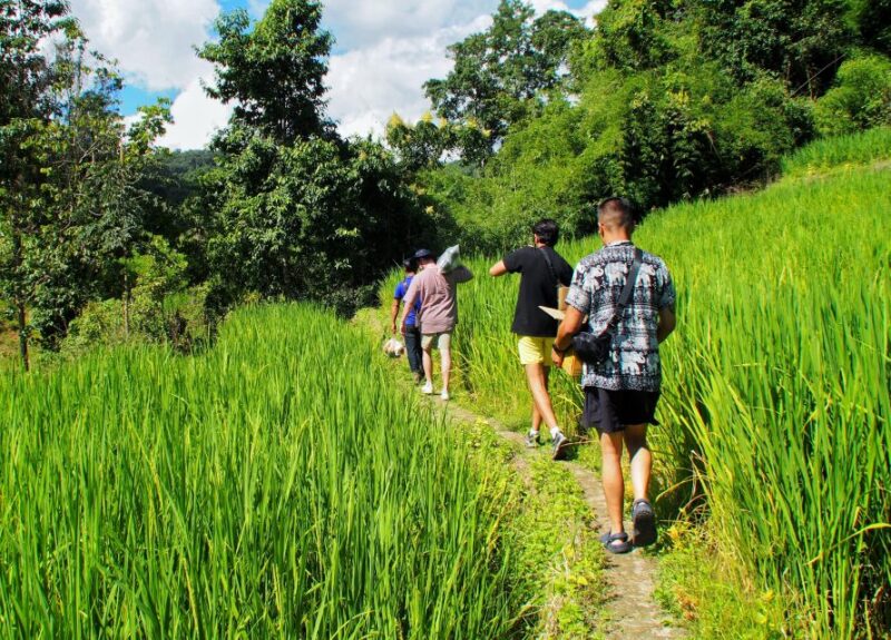 2 Days 1 Night: Eco Trekking to the White Pakayaw Village - Key Points