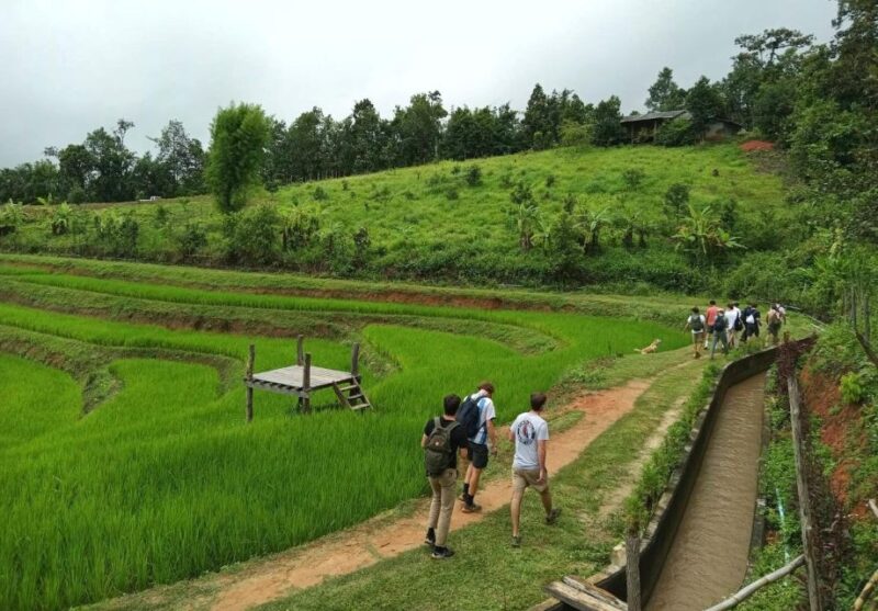 2 Days 1 Night: Eco Trekking to the White Pakayaw Village - Practical Considerations