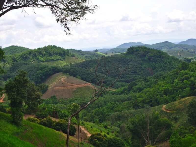 2 days 1 night private eco-trekking Akha & Lahu Chiang Rai - What’s Included and What to Consider