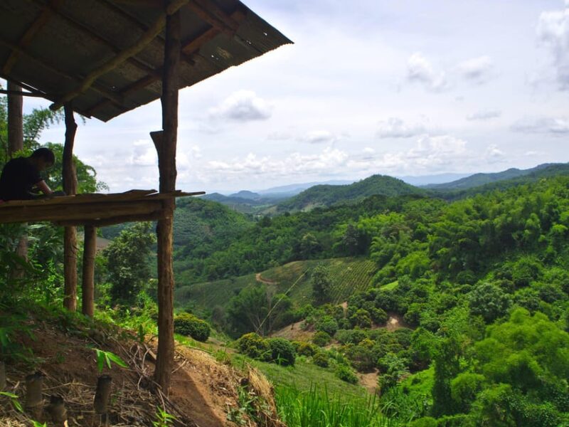 2 days 1 night private eco-trekking Akha & Lahu Chiang Rai - Who Will Love This Tour?