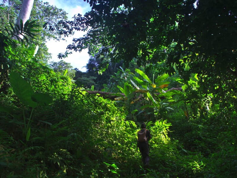 2 days 1 night private eco-trekking Akha & Lahu Chiang Rai - FAQ